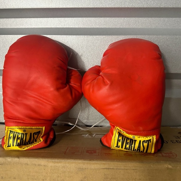 Everlast | Costumes | Everlast Boxing Gloves Halloween Costume | Poshmark